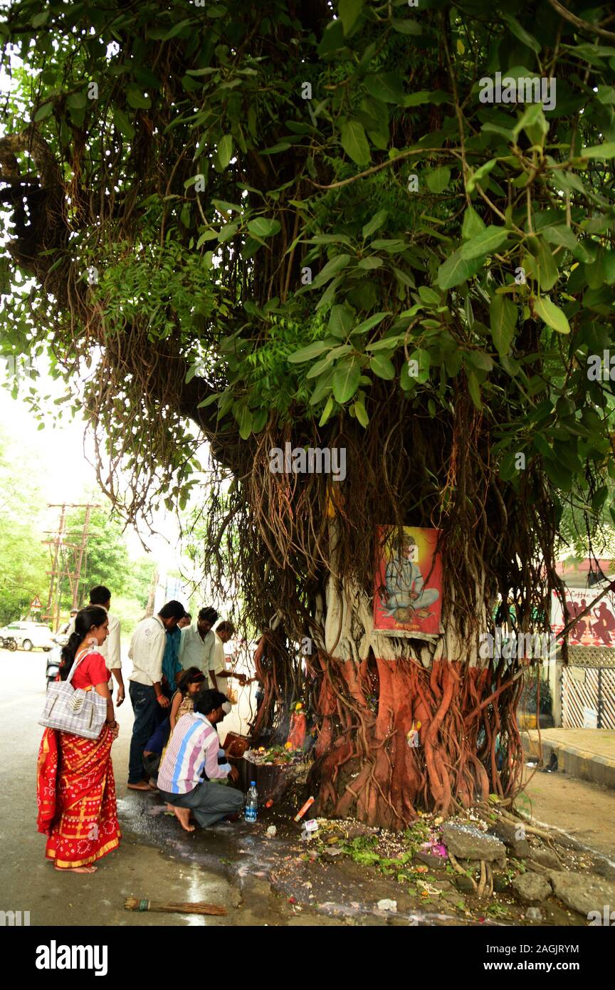 NAGPUR, MAHARASHTRA, INDIA - AUGUST 01 : People worship of Snake God in ...