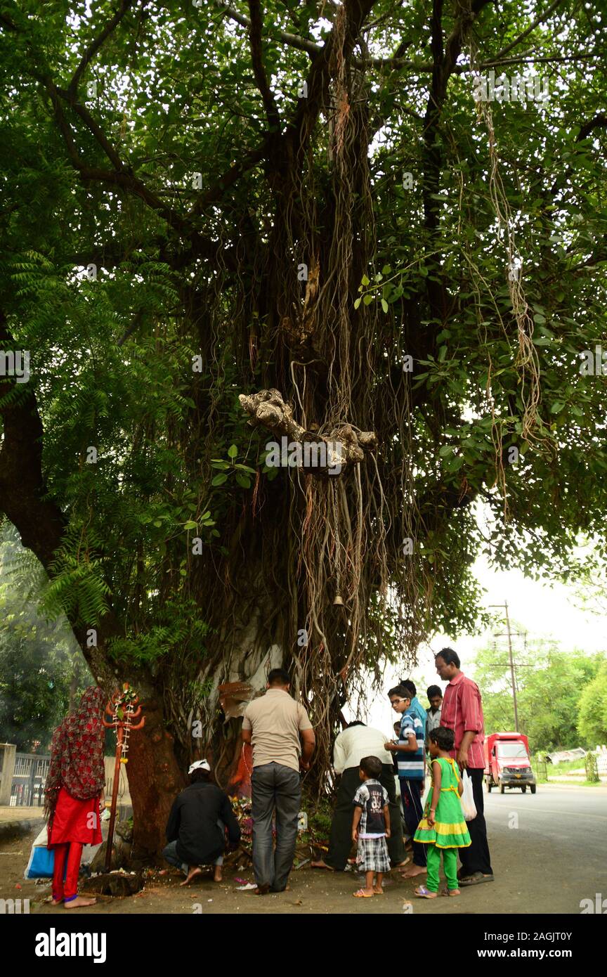 NAGPUR, MAHARASHTRA, INDIA - AUGUST 01 : People worship of Snake God in ...