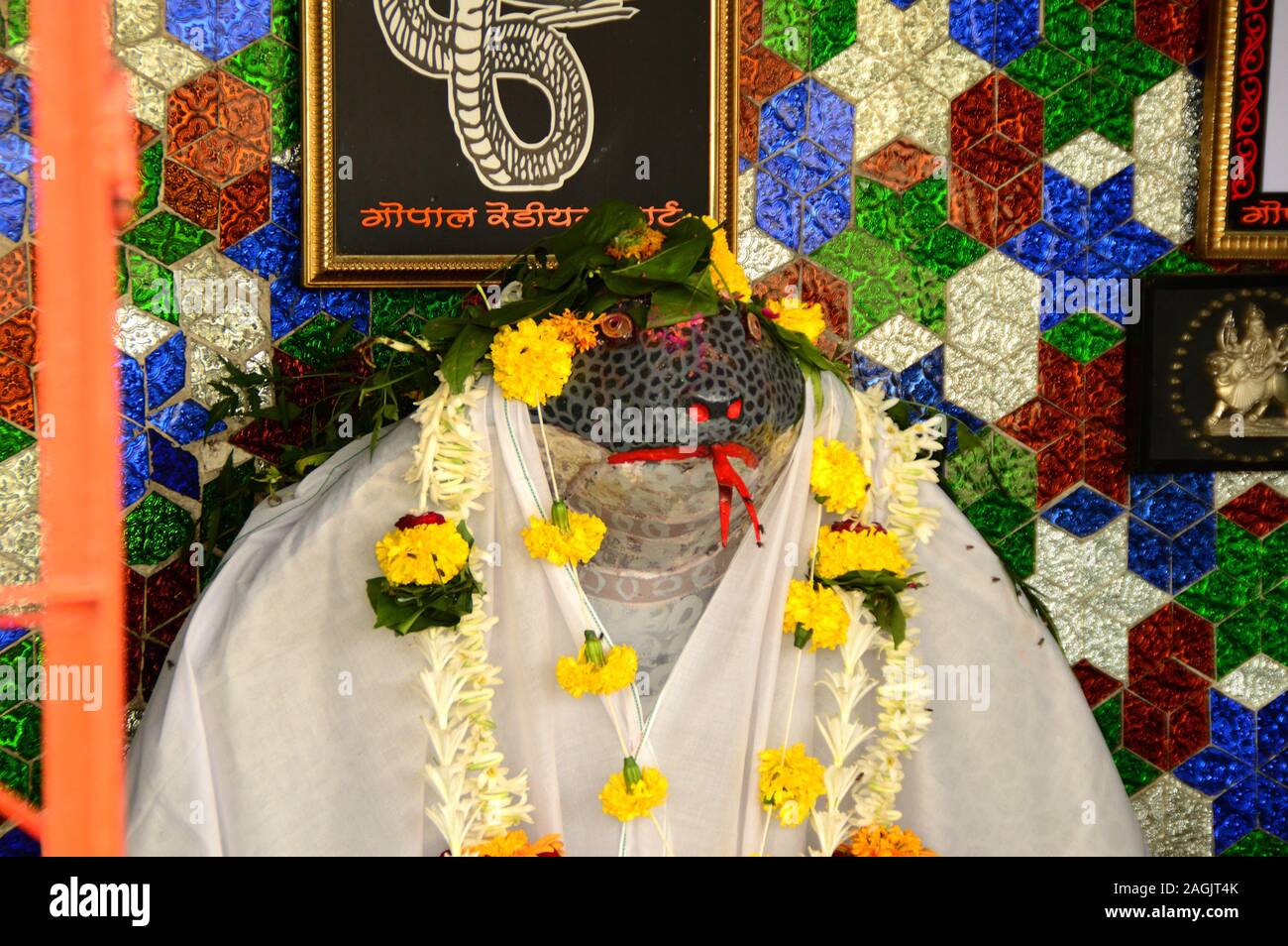 NAGPUR, MAHARASHTRA, INDIA - AUGUST 01 : People worship of Snake God in ...