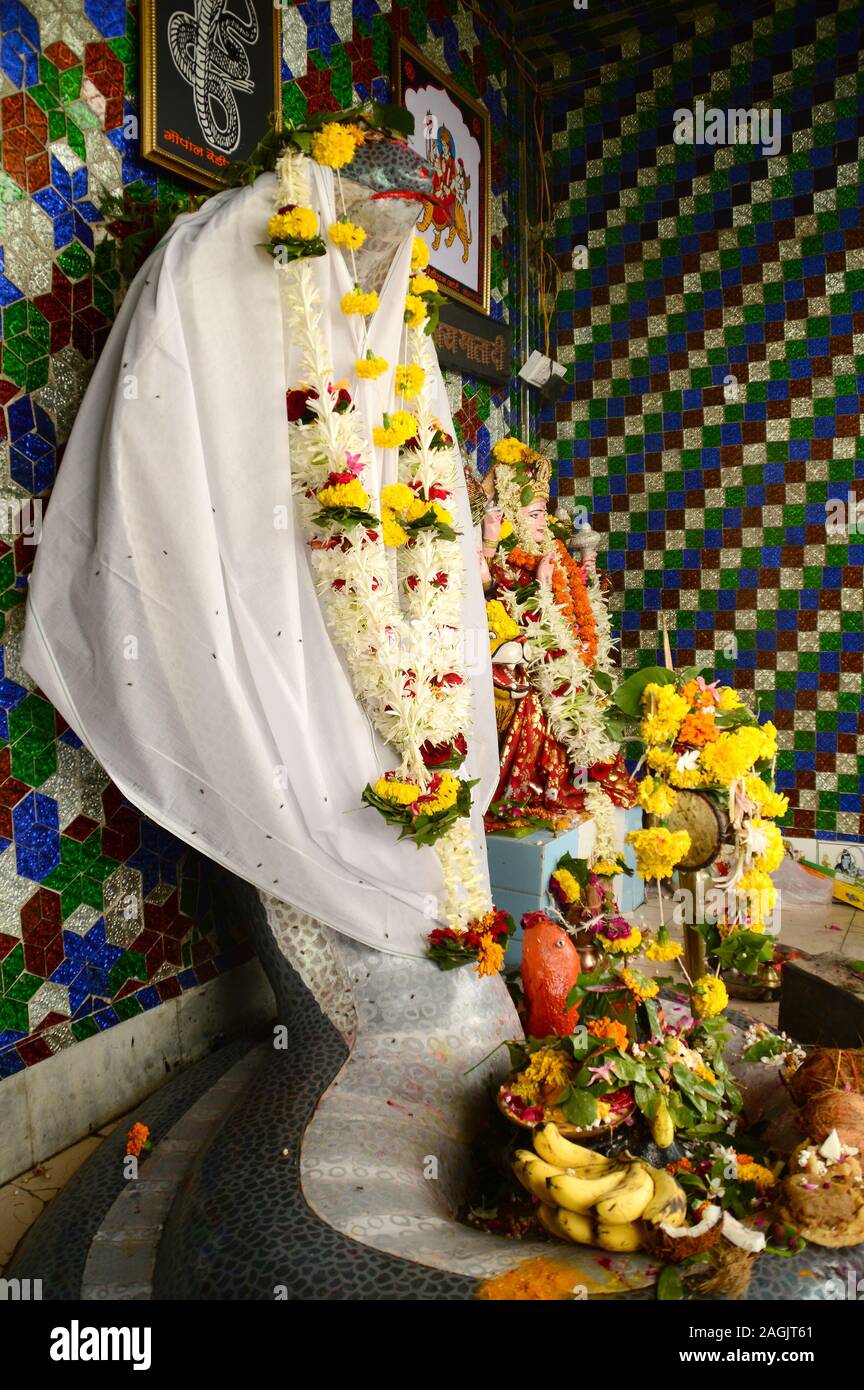 NAGPUR, MAHARASHTRA, INDIA - AUGUST 01 : People worship of Snake God in ...