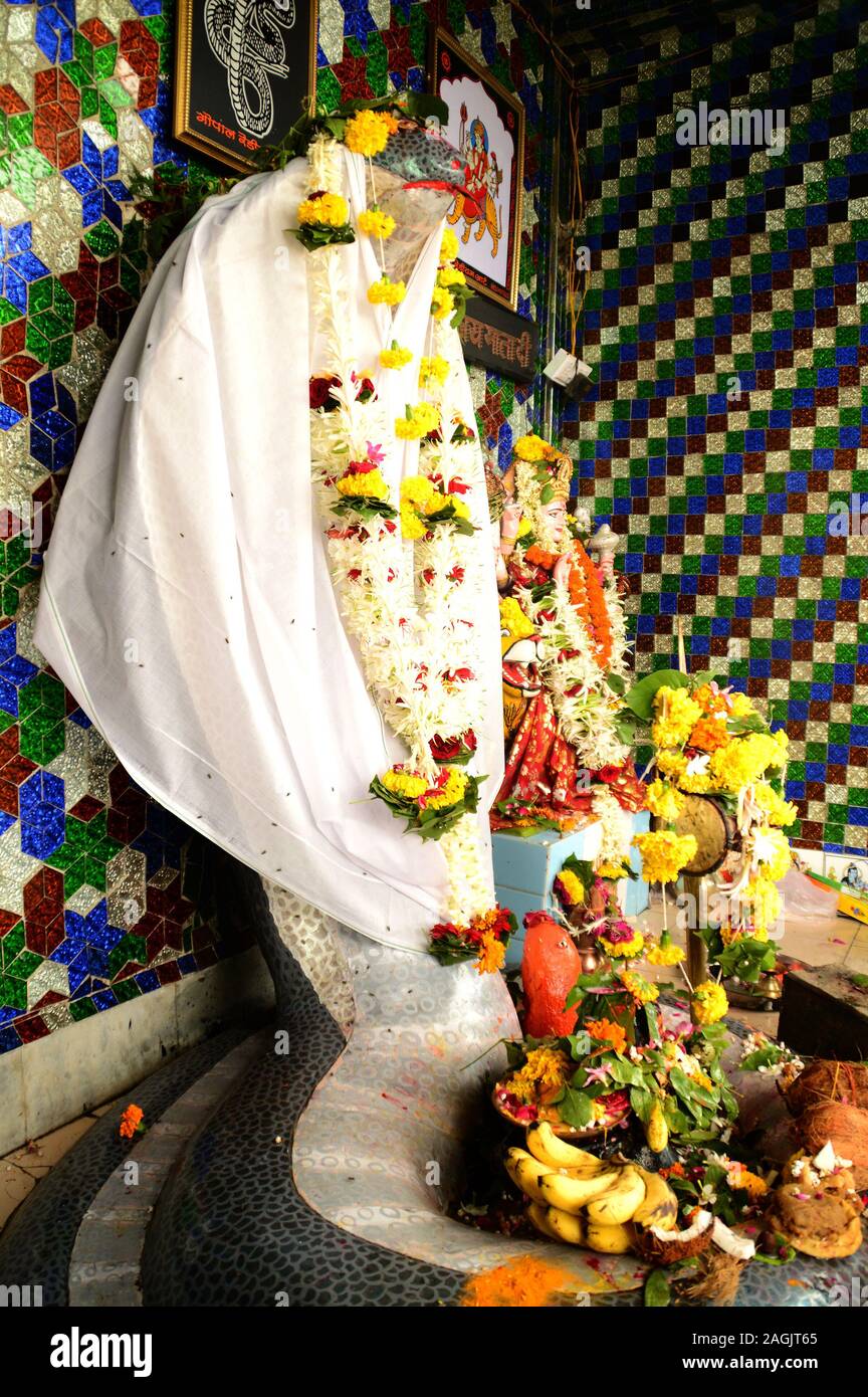 NAGPUR, MAHARASHTRA, INDIA - AUGUST 01 : People worship of Snake God in ...
