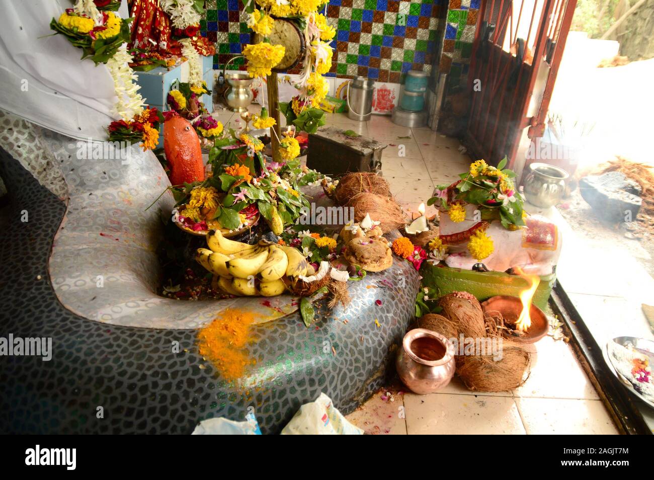 NAGPUR, MAHARASHTRA, INDIA - AUGUST 01 : People worship of Snake God in ...