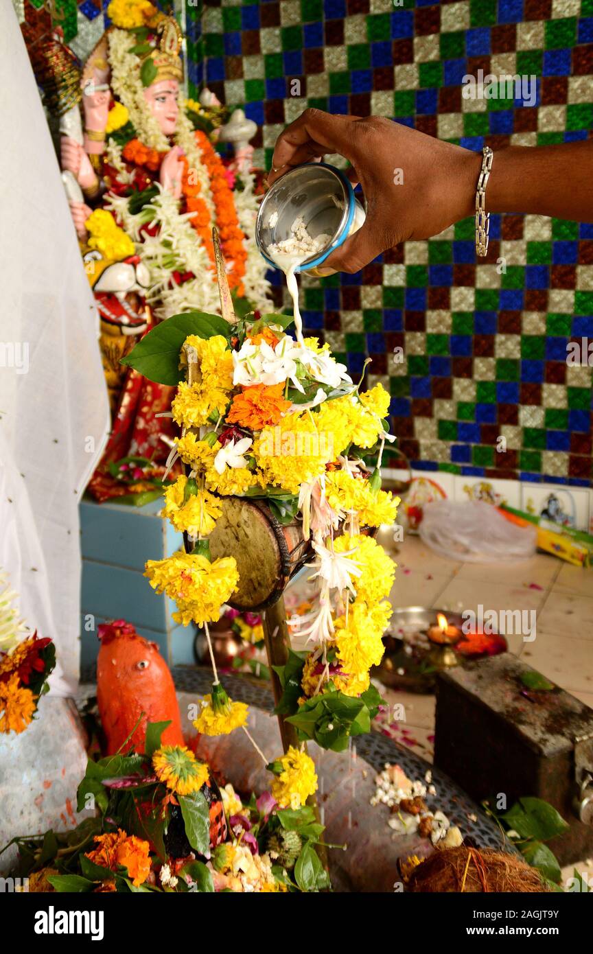 NAGPUR, MAHARASHTRA, INDIA - AUGUST 01 : People worship of Snake God in ...
