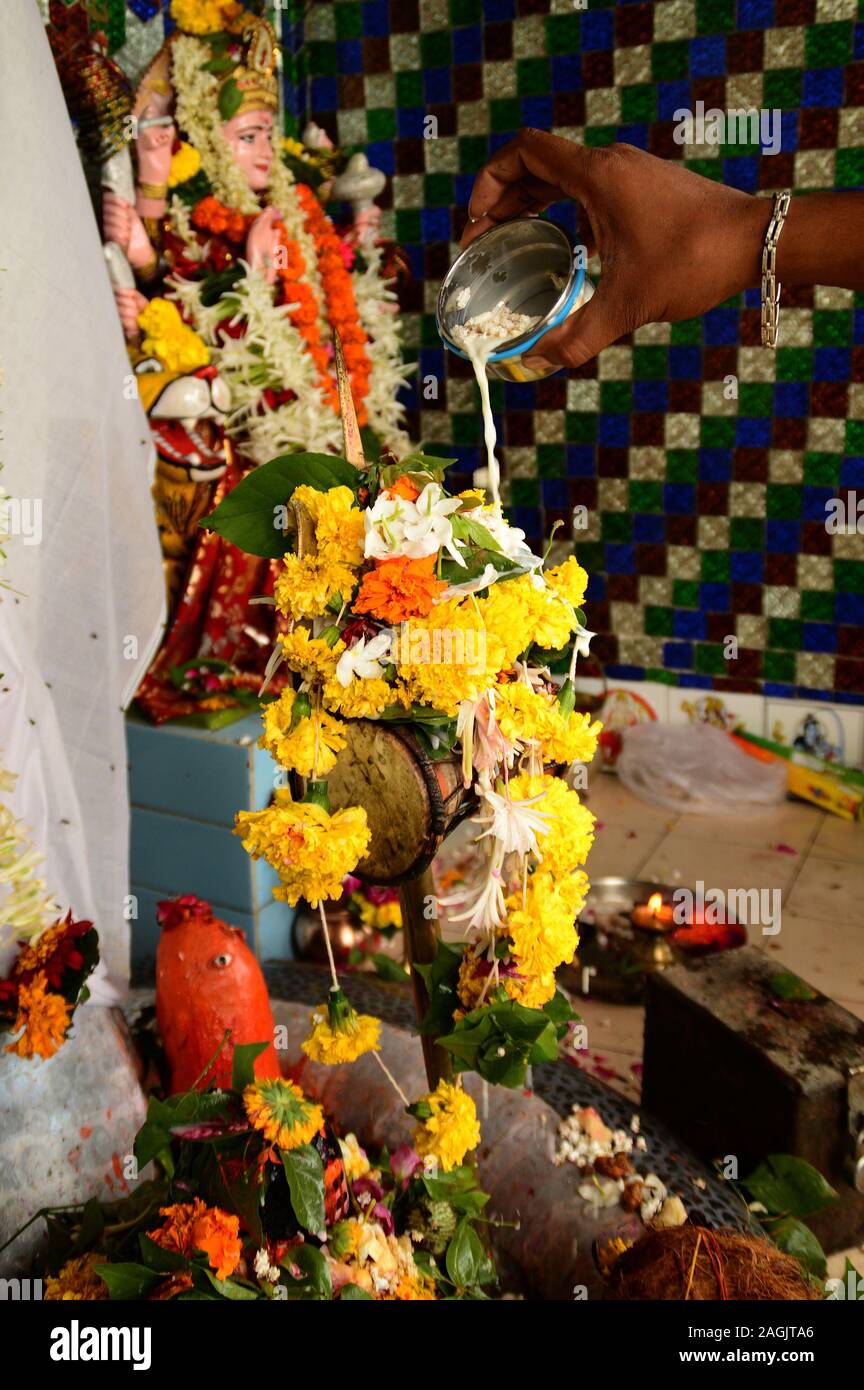 NAGPUR, MAHARASHTRA, INDIA - AUGUST 01 : People worship of Snake God in ...