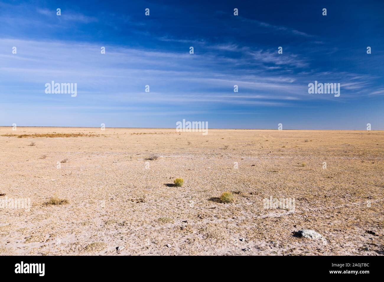 Kalahari desert, near Rakops, Central District, Botswana, South Africa ...
