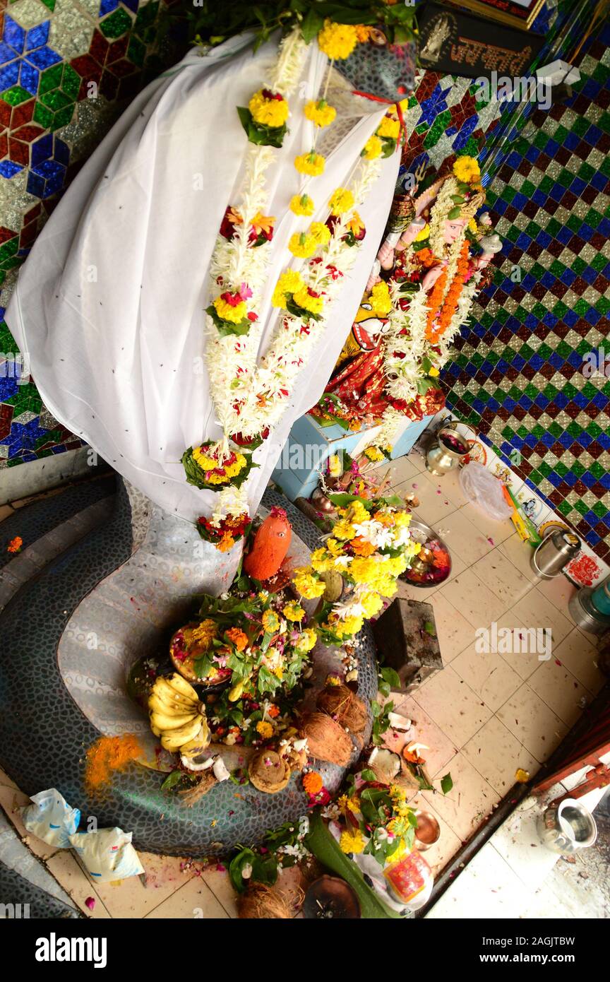 NAGPUR, MAHARASHTRA, INDIA - AUGUST 01 : People worship of Snake God in ...