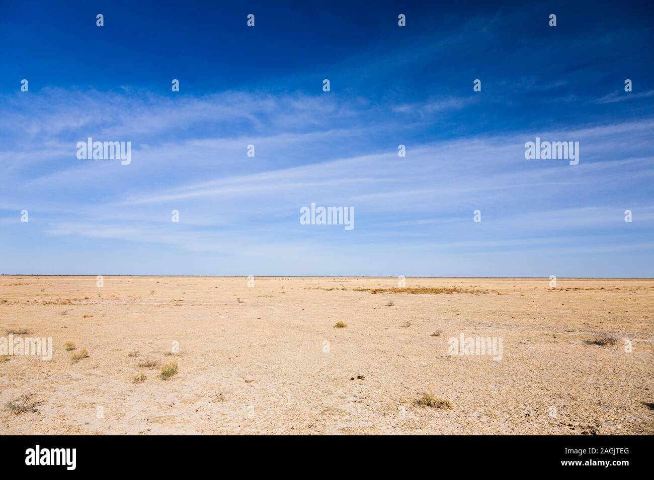 Kalahari desert, near Rakops, Central District, Botswana, South Africa ...