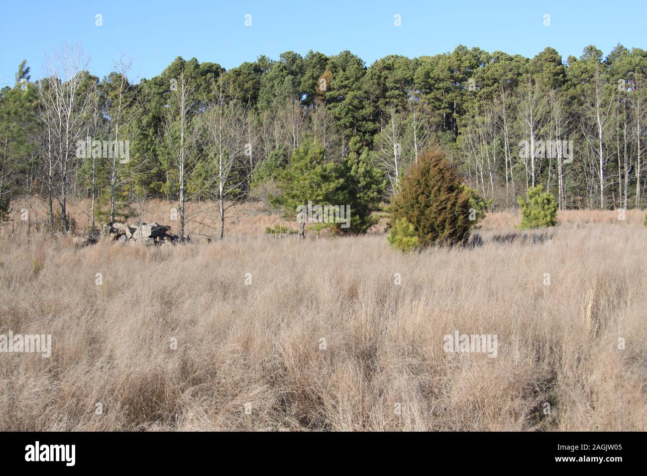 Midwest forest hi-res stock photography and images - Alamy