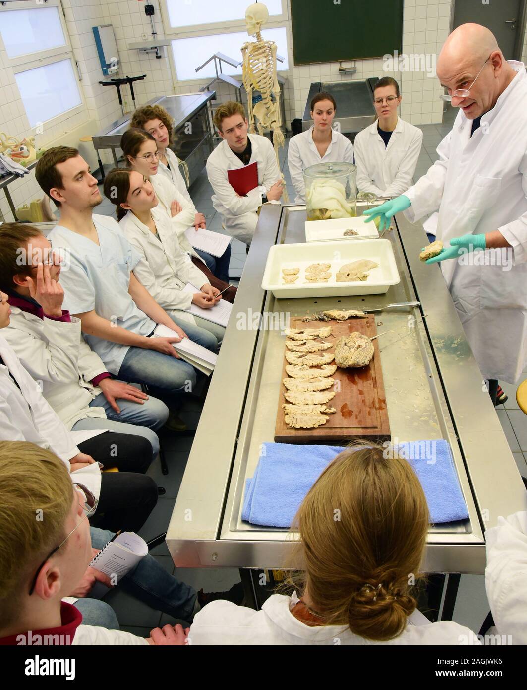 13 December 2019, Saxony, Leipzig: In a dissecting room at the ...