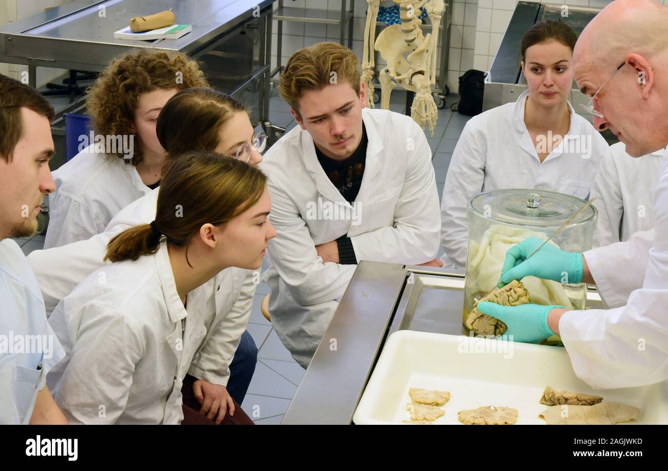 13 December 2019, Saxony, Leipzig: In a dissecting room at the ...