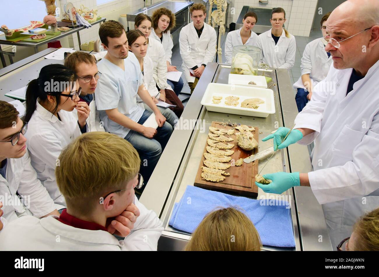 13 December 2019, Saxony, Leipzig: In a dissecting room at the ...