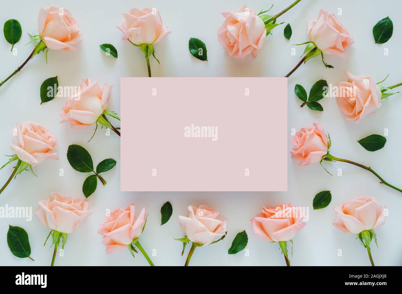 Pink roses with empty space for text for Valentine’s day. Flat lay top ...