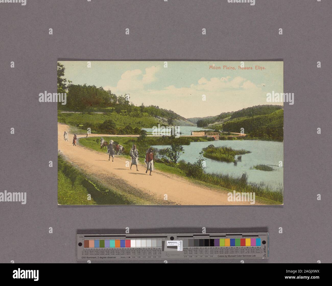 Moon Plains, Nuwara Eliya.; Moon Plains, Nuwara Eliya Stock Photo - Alamy