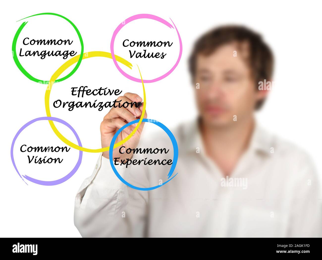 Diagram of Effective Organizations Stock Photo - Alamy