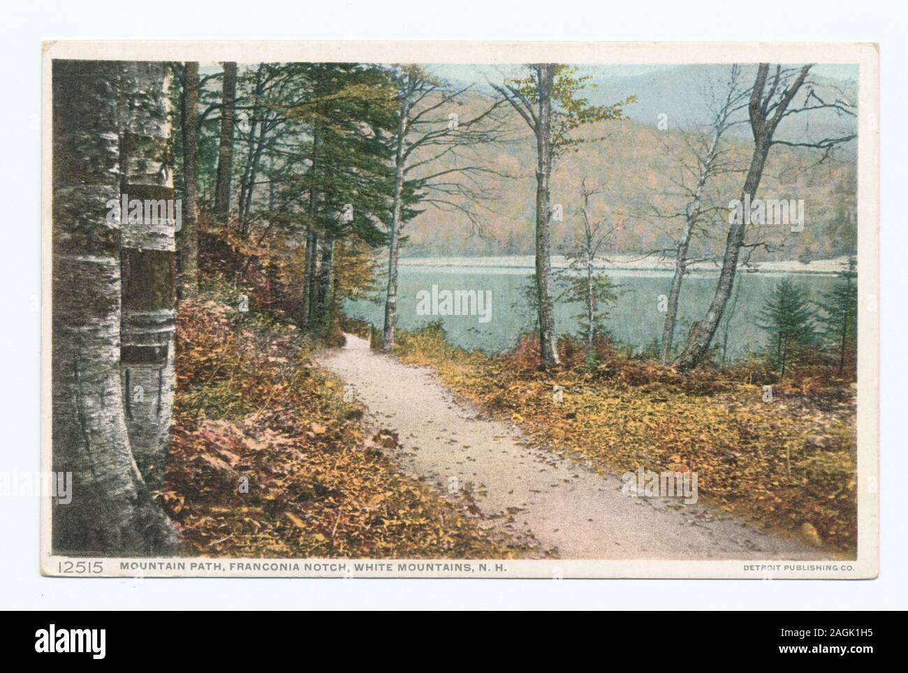 Postcard series number: 12515 1908-1909.; Mountain Path, Franconia ...