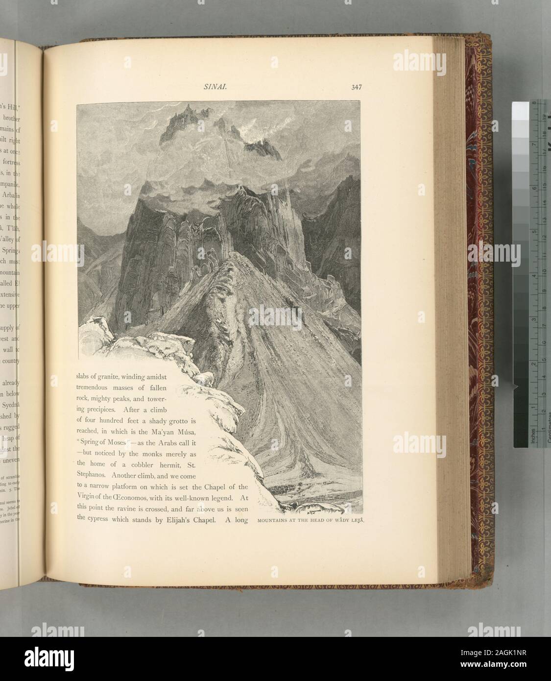 Leja hi-res stock photography and images - Alamy