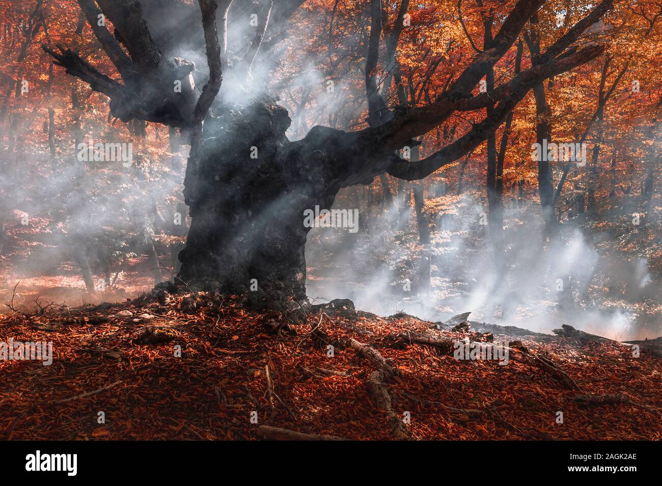 Mediterranian climate hi-res stock photography and images - Alamy