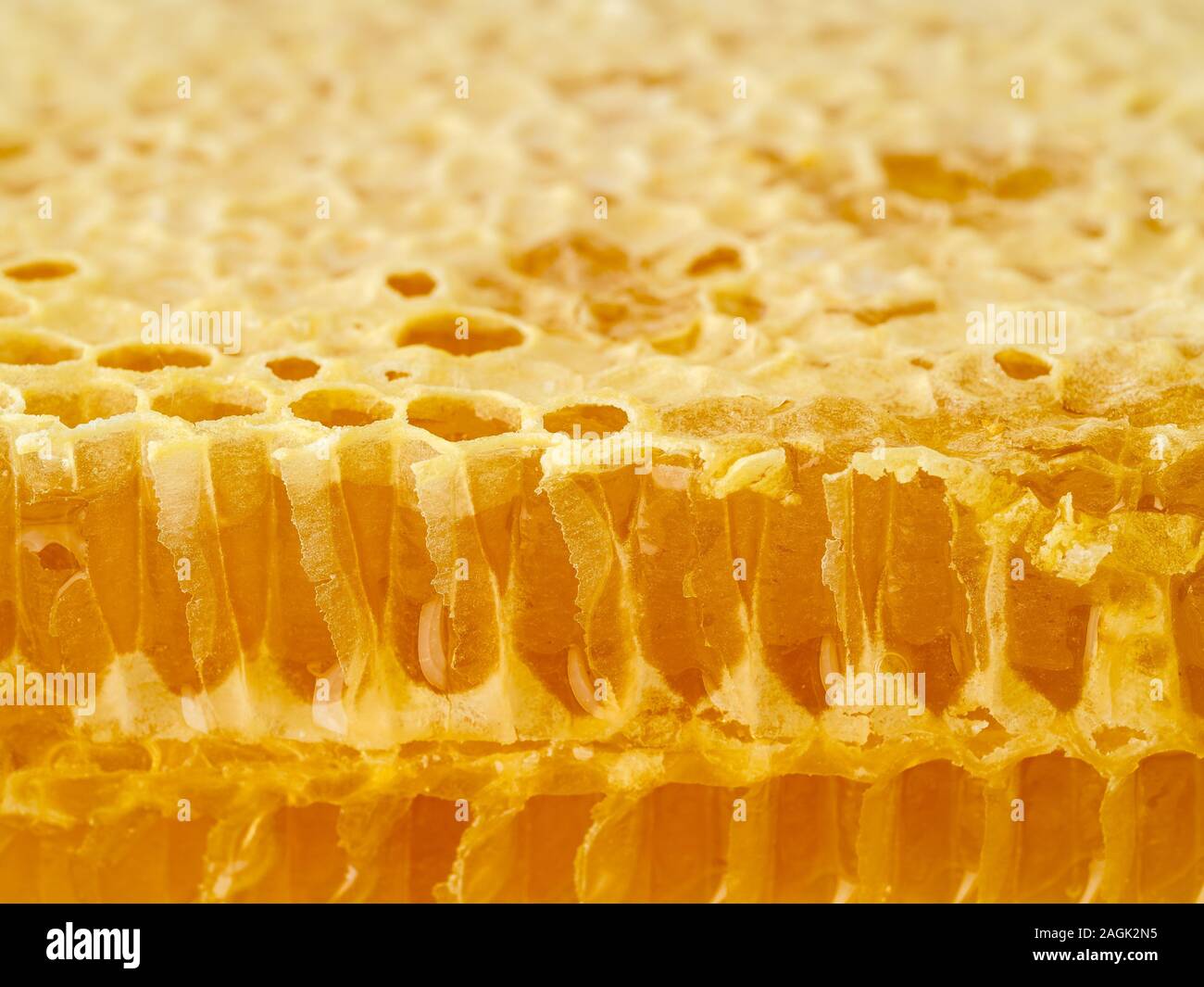Honeycomb Side View Honey In Honeycomb, Close Up, On White Ceramic