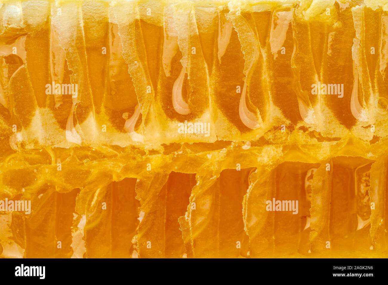 bee honeycomb closeup, fresh stringy dripping sweet honey, macro ...