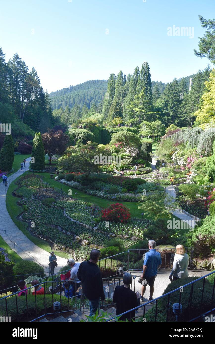 The sunken gardens at Butchart Gardens, which was converted from a ...