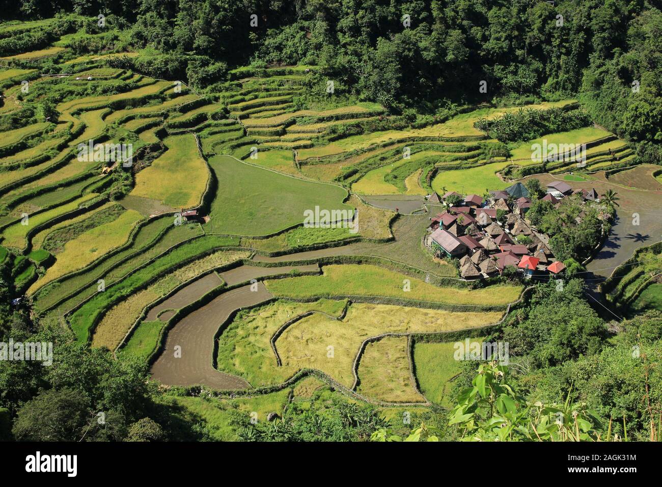 Banga High Resolution Stock Photography and Images - Alamy