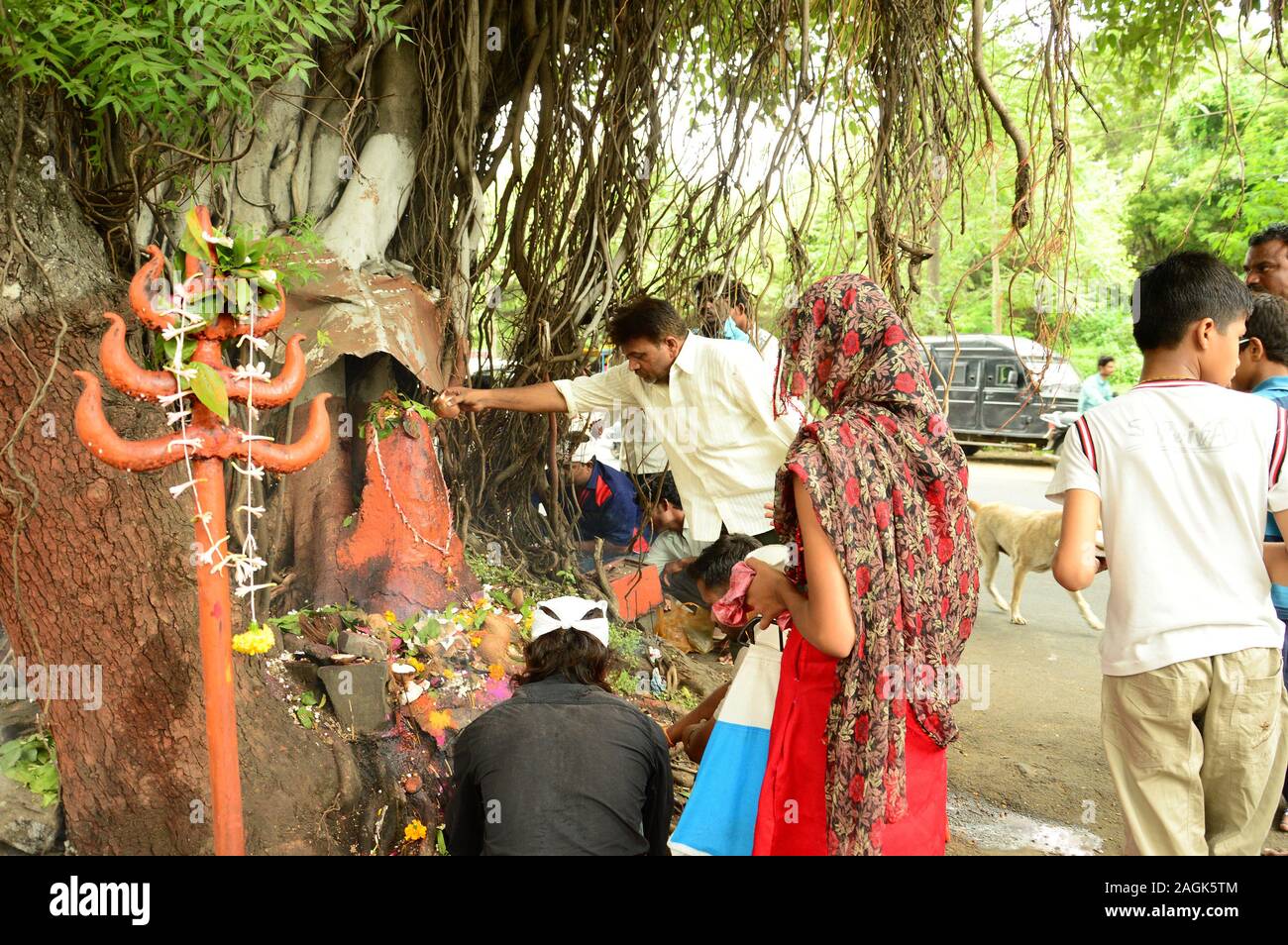 NAGPUR, MAHARASHTRA, INDIA - AUGUST 01 : People worship of Snake God in ...