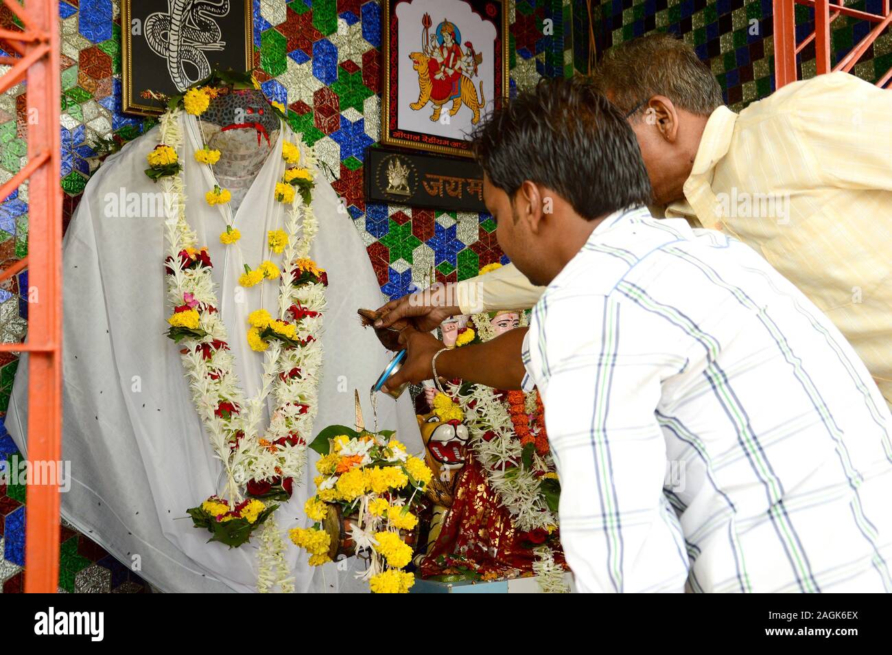 NAGPUR, MAHARASHTRA, INDIA - AUGUST 01 : People worship of Snake God in ...