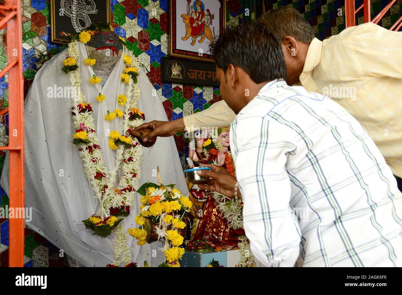 NAGPUR, MAHARASHTRA, INDIA - AUGUST 01 : People worship of Snake God in ...