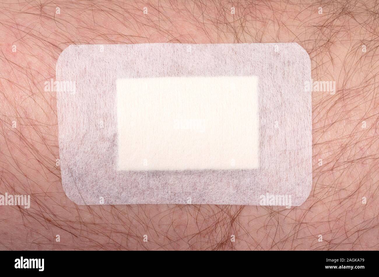 Band aid on skin, hairy leg, adult Stock Photo - Alamy