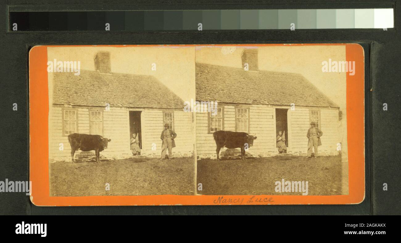 Nancy luce hi-res stock photography and images - Alamy