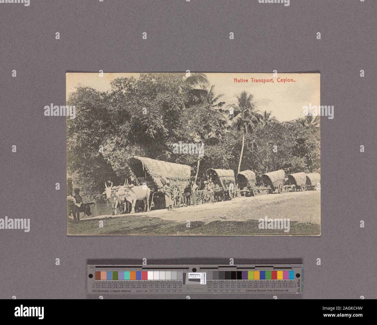 Native transport, Ceylon.; Native transport, Ceylon Stock Photo - Alamy