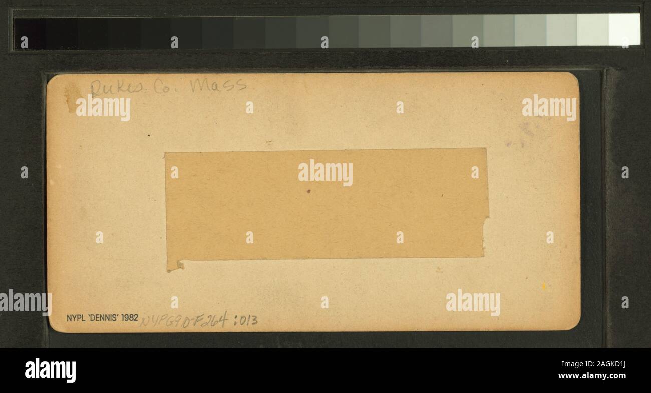 Naushon Island High Resolution Stock Photography and Images - Alamy