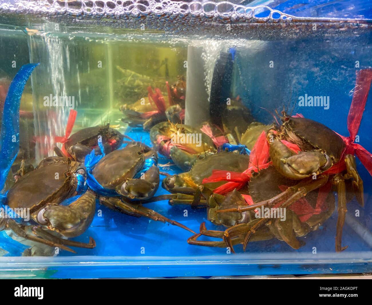 Alive crabs in the tank for sale at seafood market Stock Photo - Alamy