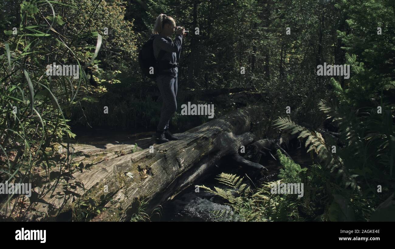 Traveler photographing scenic view in forest river. Wood bridge fallen ...