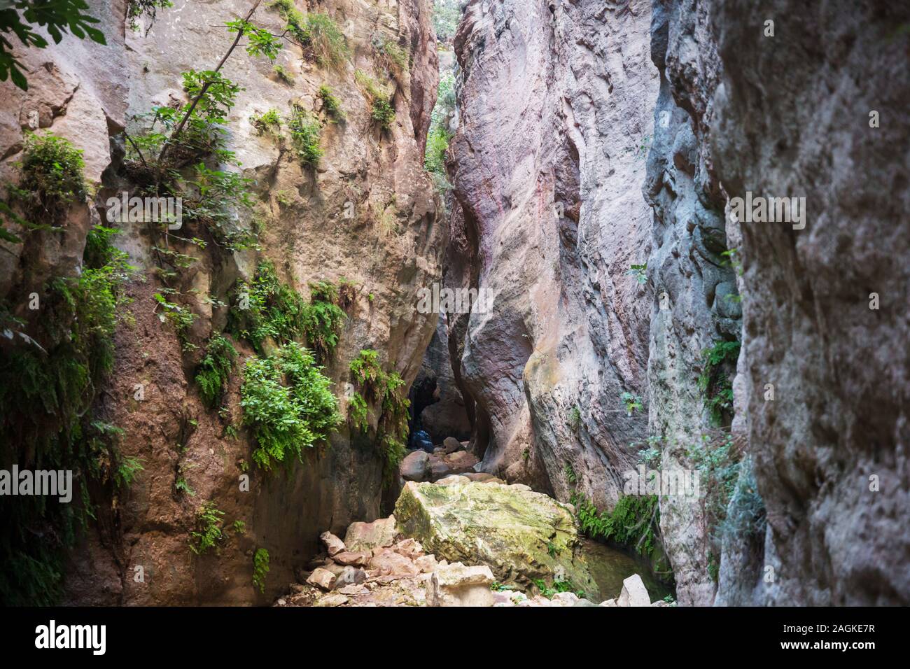 Tourist in Avakas Gorge. Paphos District, Cyprus. Famous small canyon ...