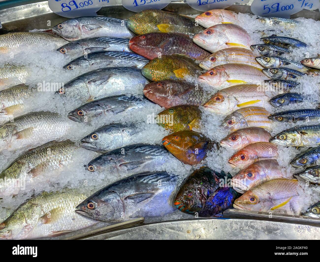 Assorted fish good arrangement frozen on ice at seafood market Stock ...