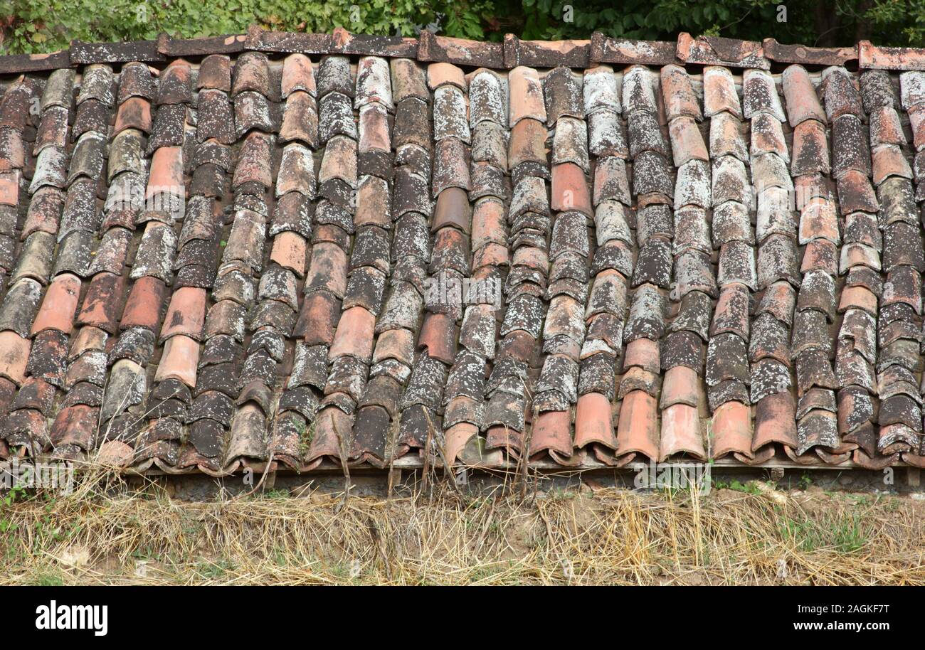 old brick tiles on the roof Stock Photo - Alamy