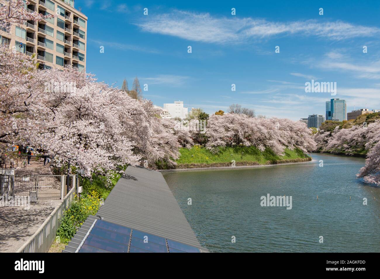 Spring fever festival hi-res stock photography and images - Alamy