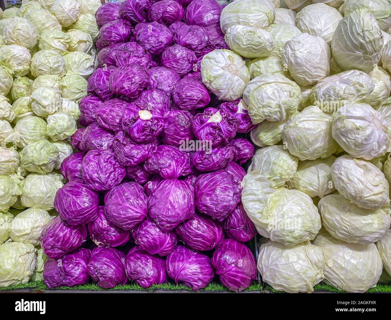 Red and green cabbage piled on vegetables counter at hypermarket Stock ...
