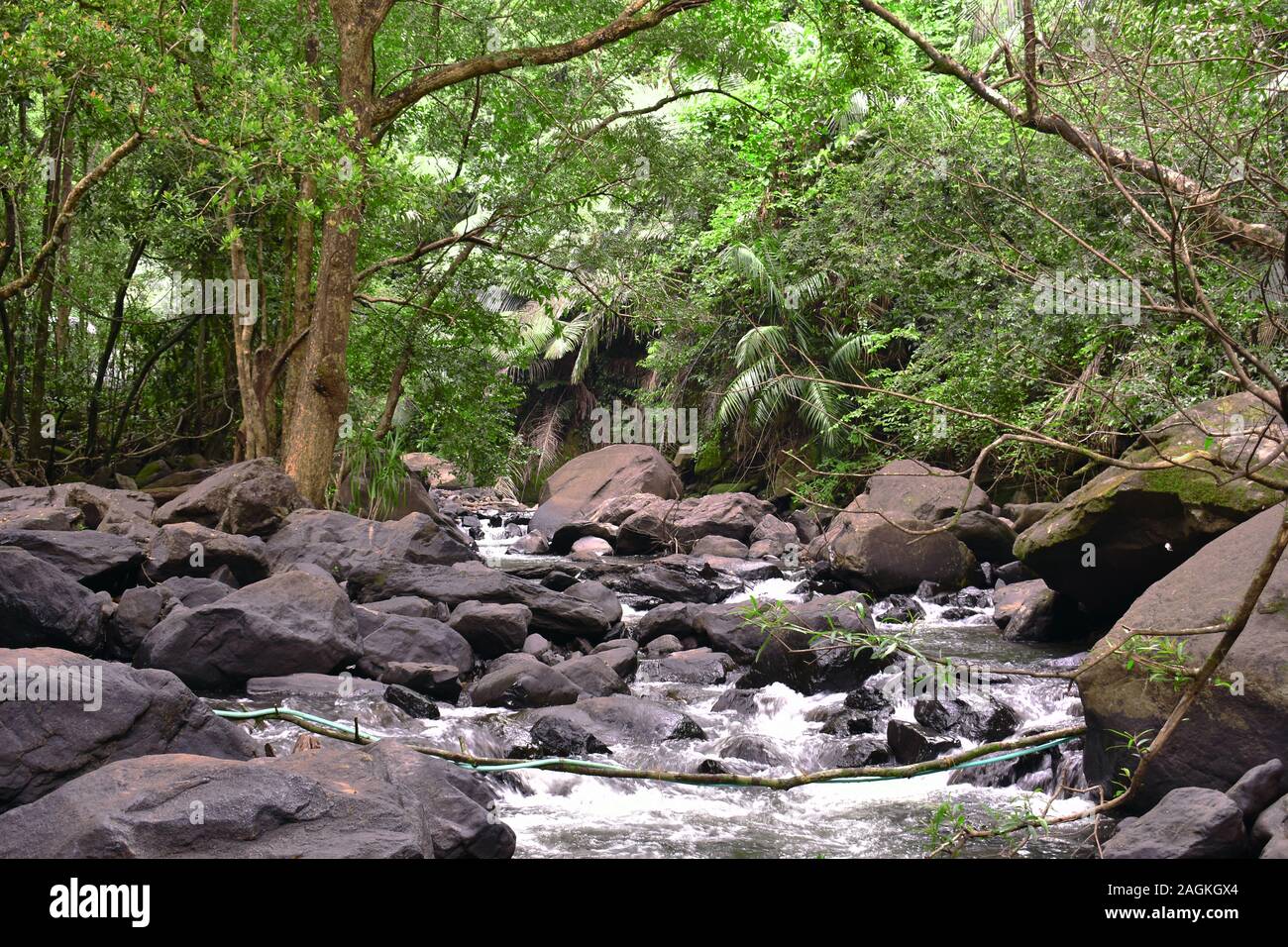 River flowing through deep hi-res stock photography and images - Alamy