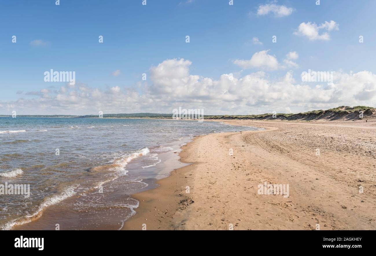 Halmstad tylosand hi-res stock photography and images - Alamy