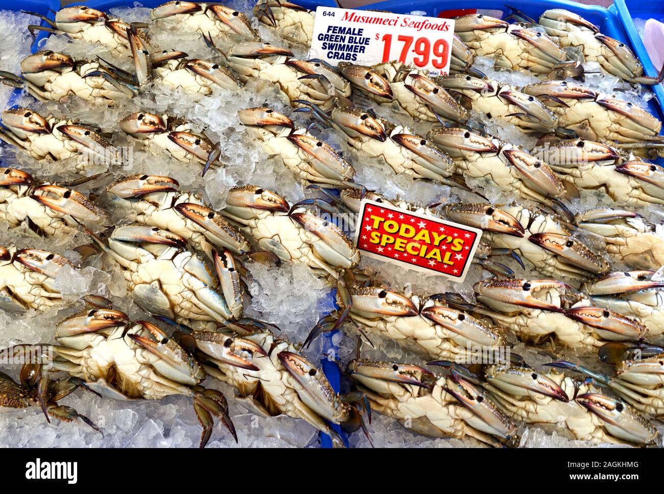 Shrimp fish market sydney hi-res stock photography and images - Alamy