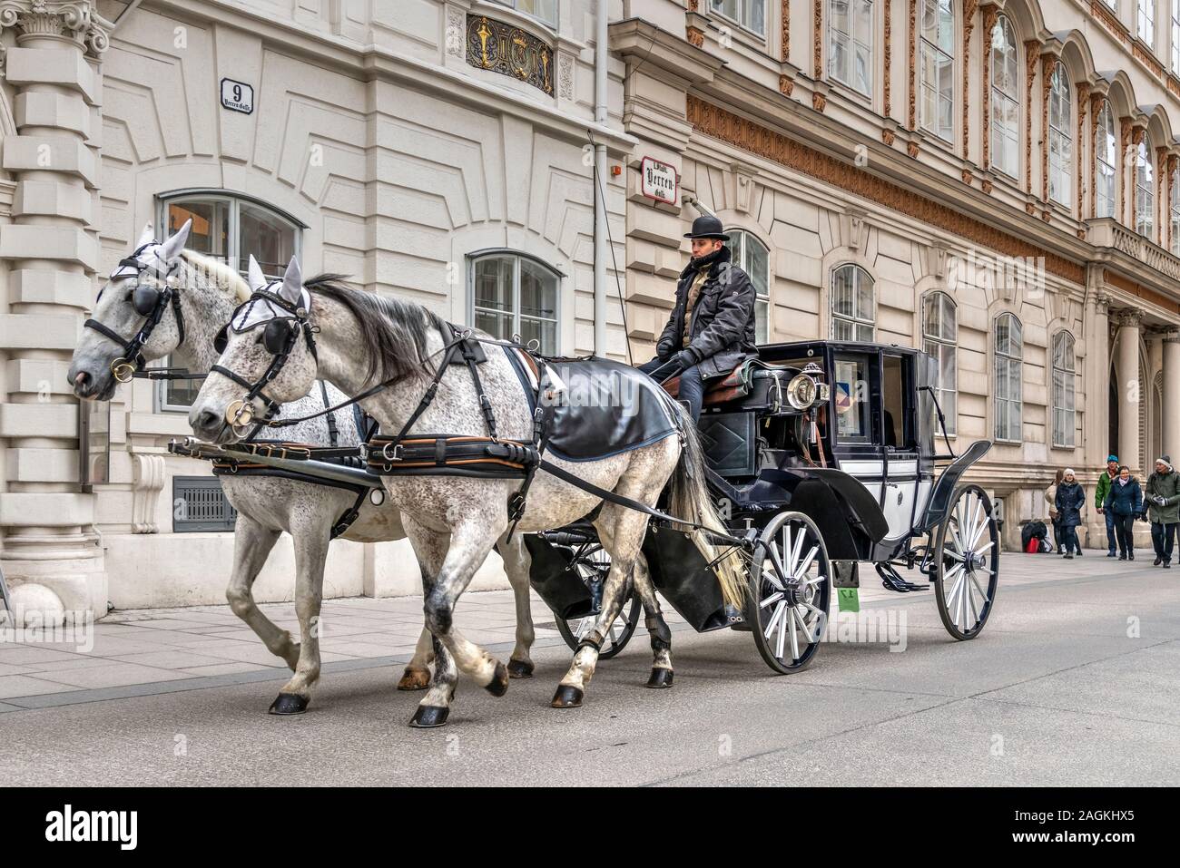 Horse-drawn carriage in a street of Vienna, Austria Stock Photo - Alamy