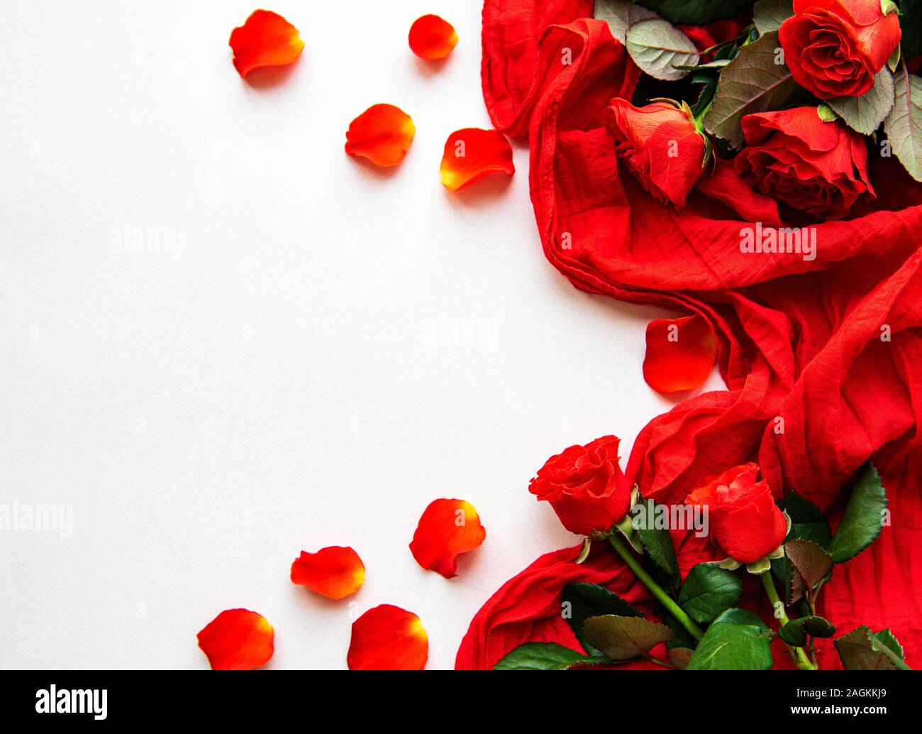 Red roses heads ans scarf scattered on a white background, overhead ...