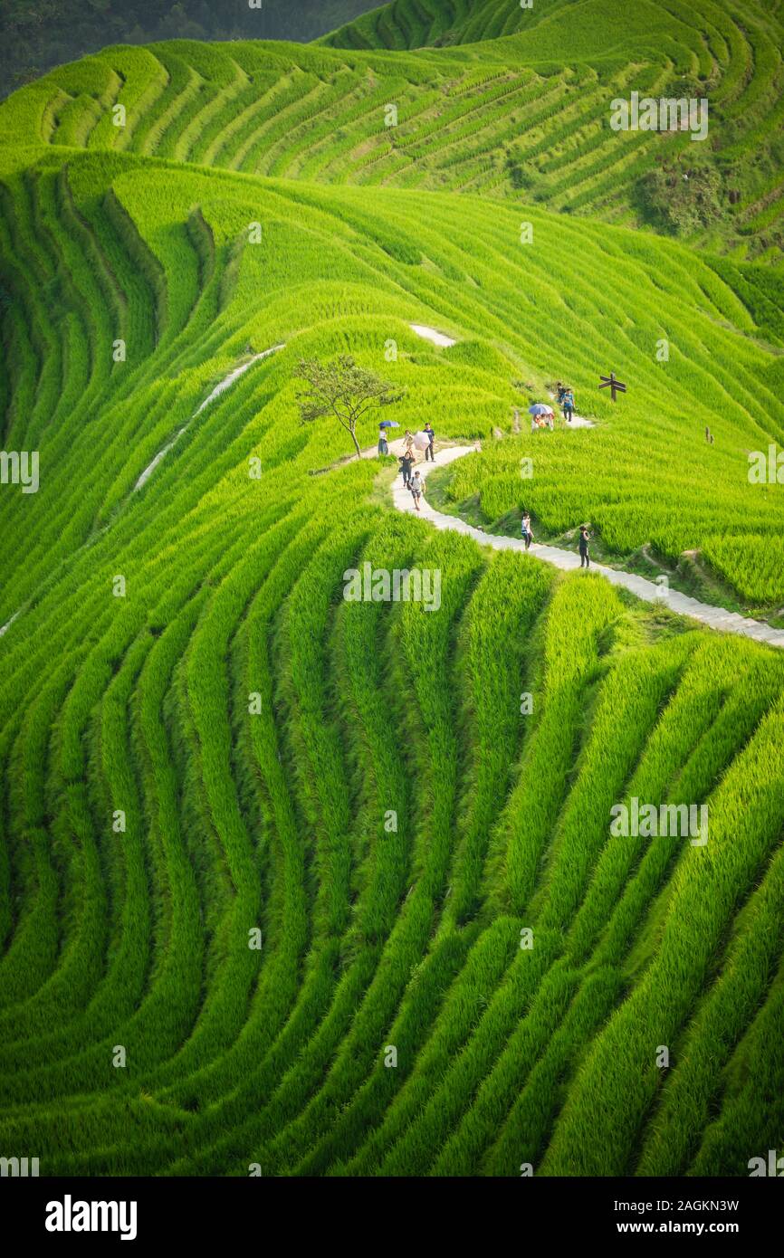 Pingan, China - August 2019 : Group of tourists on a walking path going ...