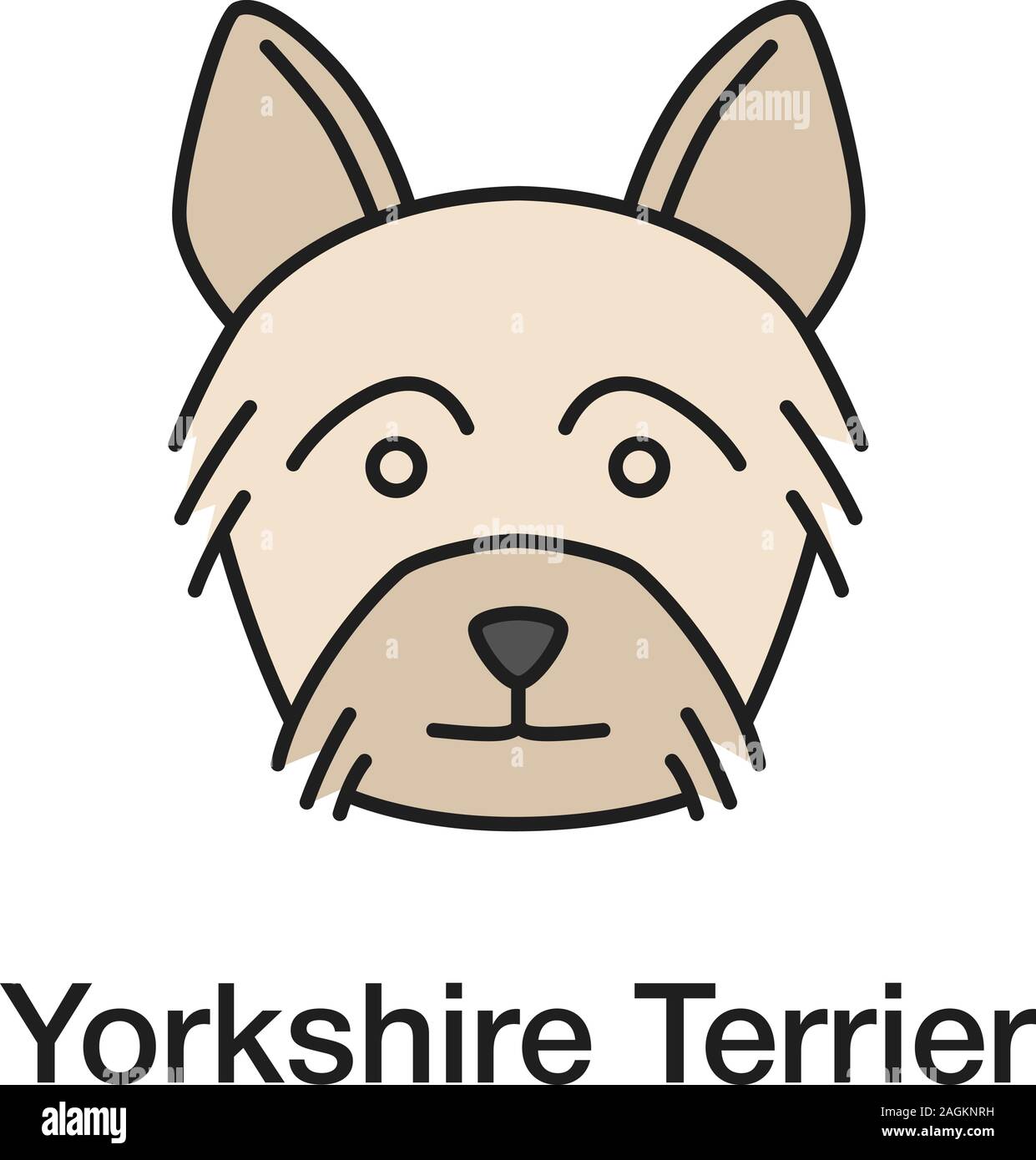 Yorkshire Terrier color icon. Yorkie. Isolated vector illustration ...