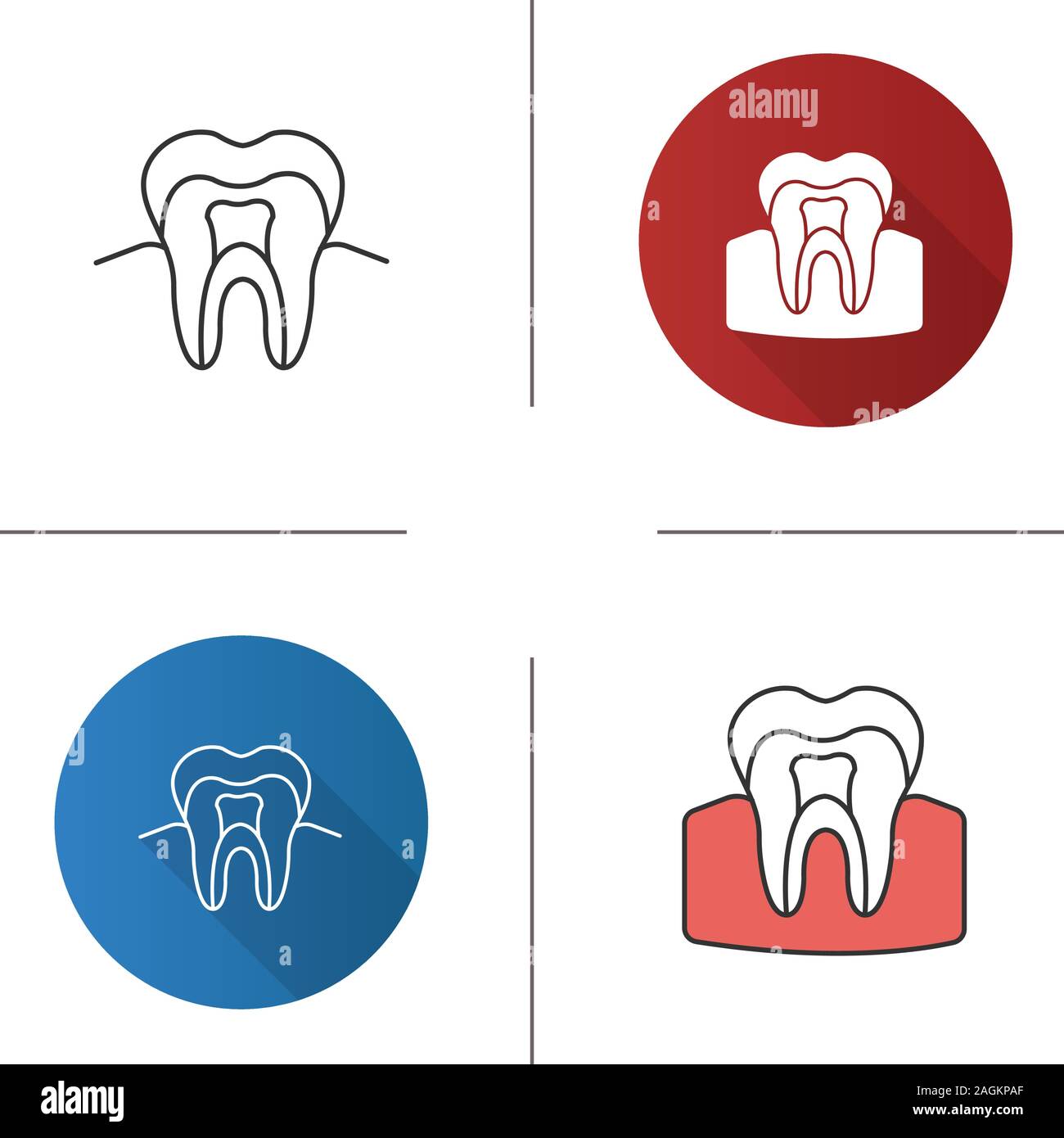 Tooth anatomical structure icon. Tooth root and crown. Dentin, enamel ...