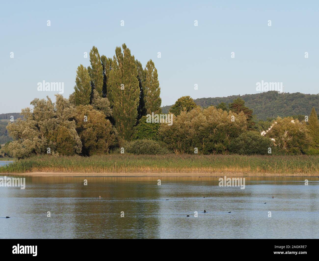 Scenic Rhine River landscape reflected in water seen from european ...