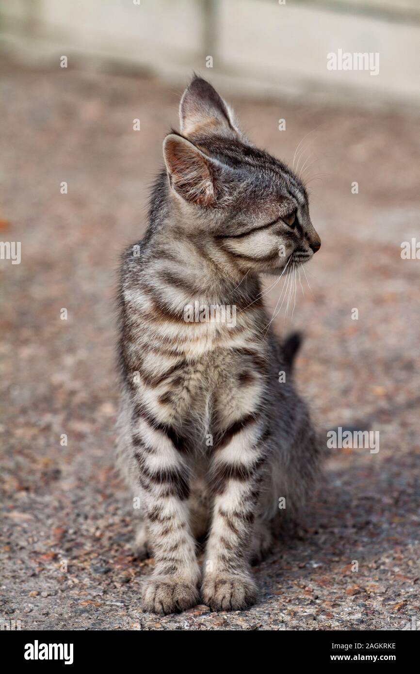 Tumidity hi-res stock photography and images - Alamy