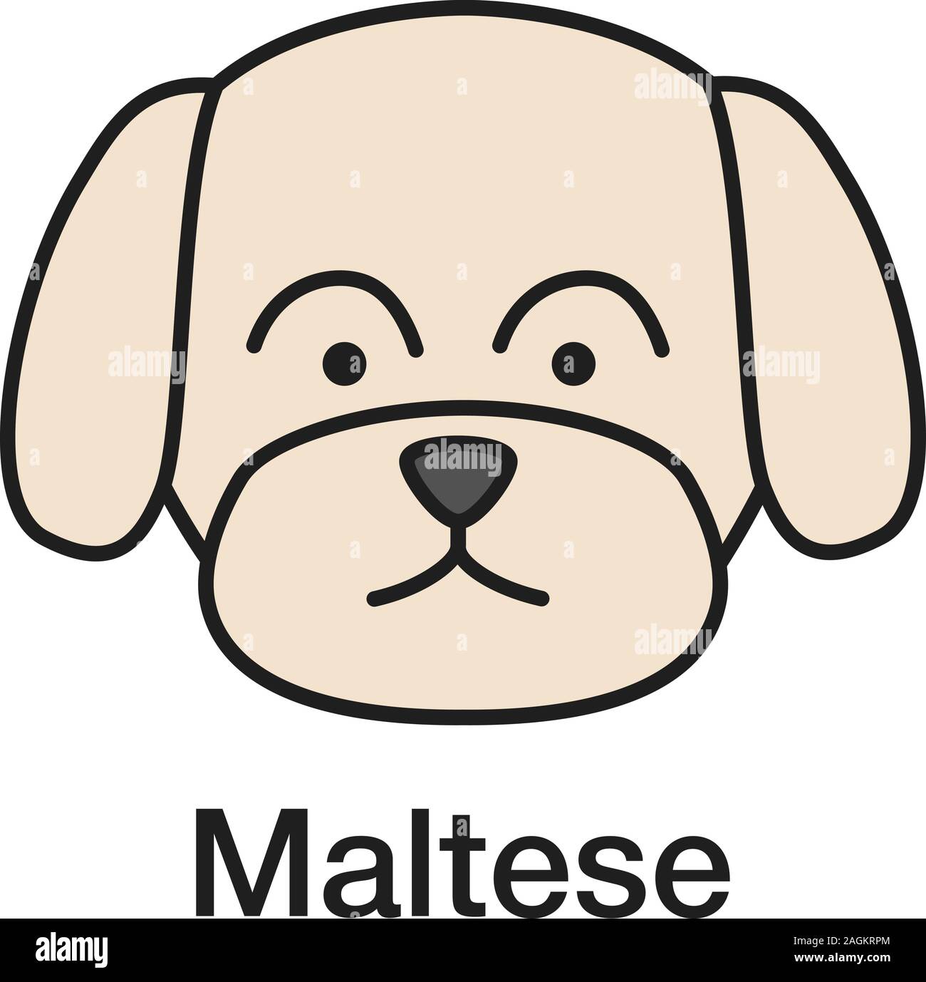 Maltese color icon. Toy dog breed. Isolated vector illustration Stock ...